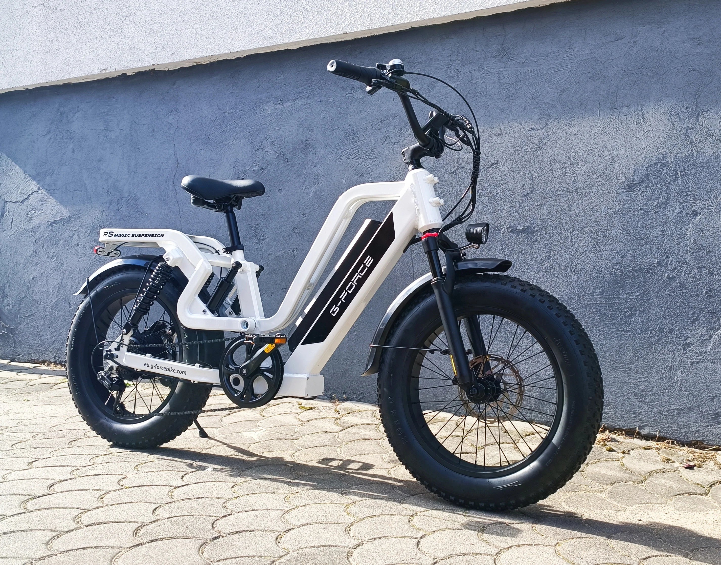 G-Force RS/RSST Electric Bike - 750W Motor & Six-Point Suspension ...