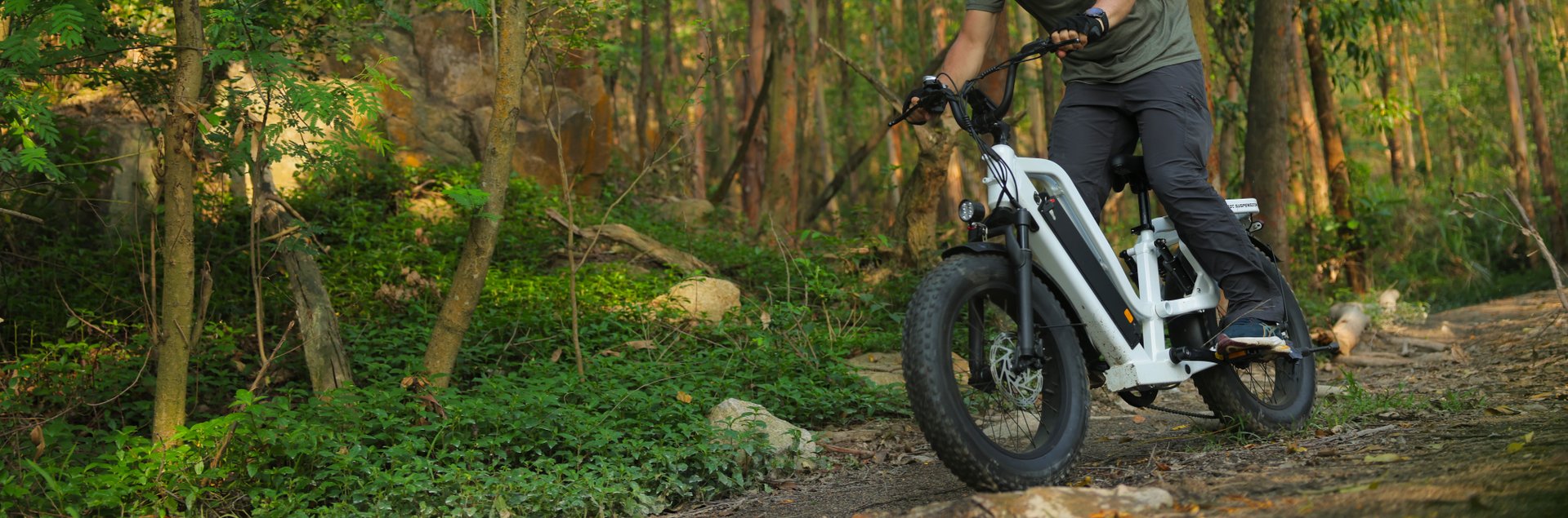 Best Step-Through Electric Bikes | G-FORCE RS ST & Folding RE ST – G ...